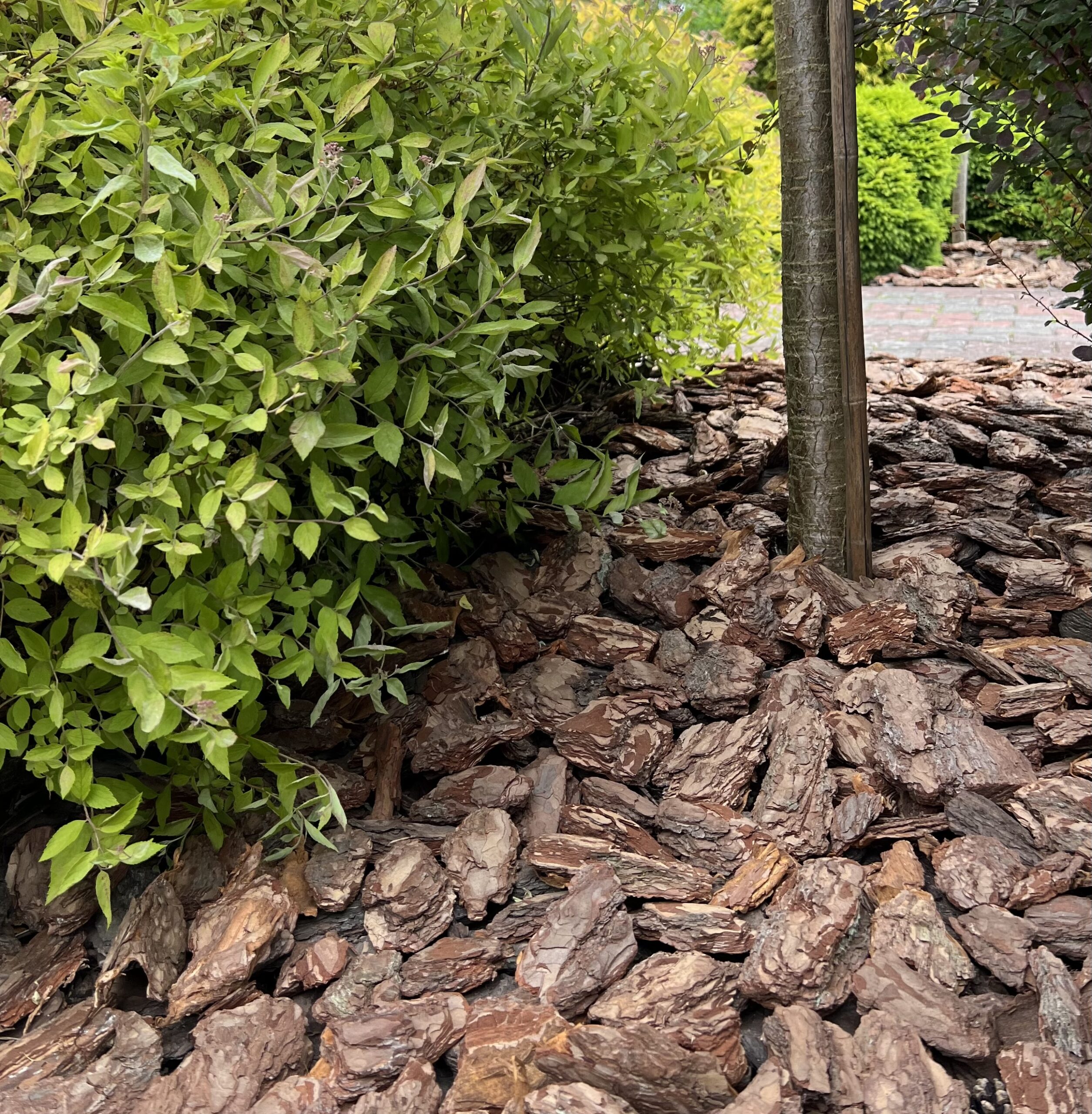 33 x Kora Extra Gruba 50-120mm - F.P.H.U. Jodełka